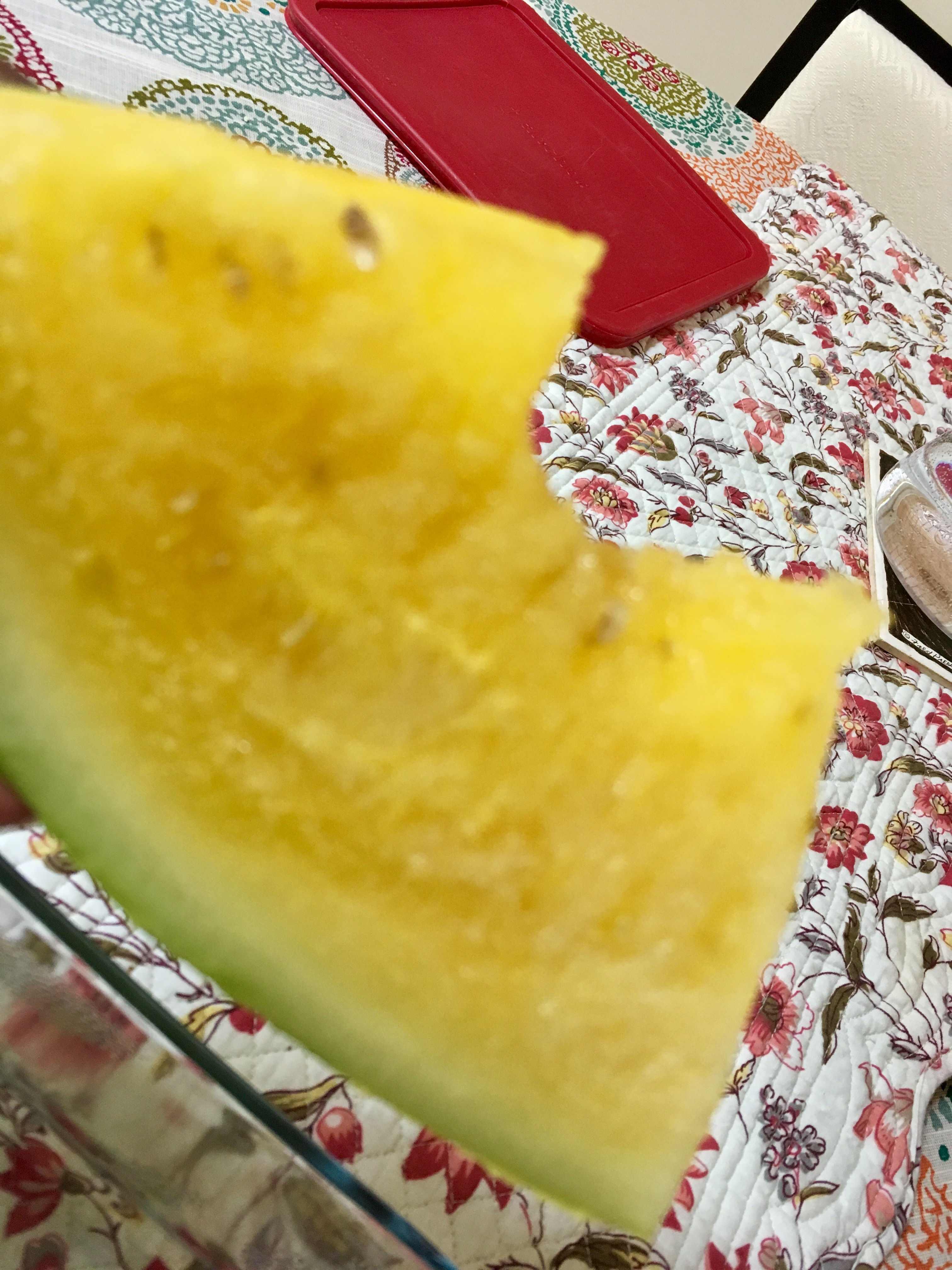 The Yellow Watermelon: In Celebration of the Solar Eclipse – Smriti ...